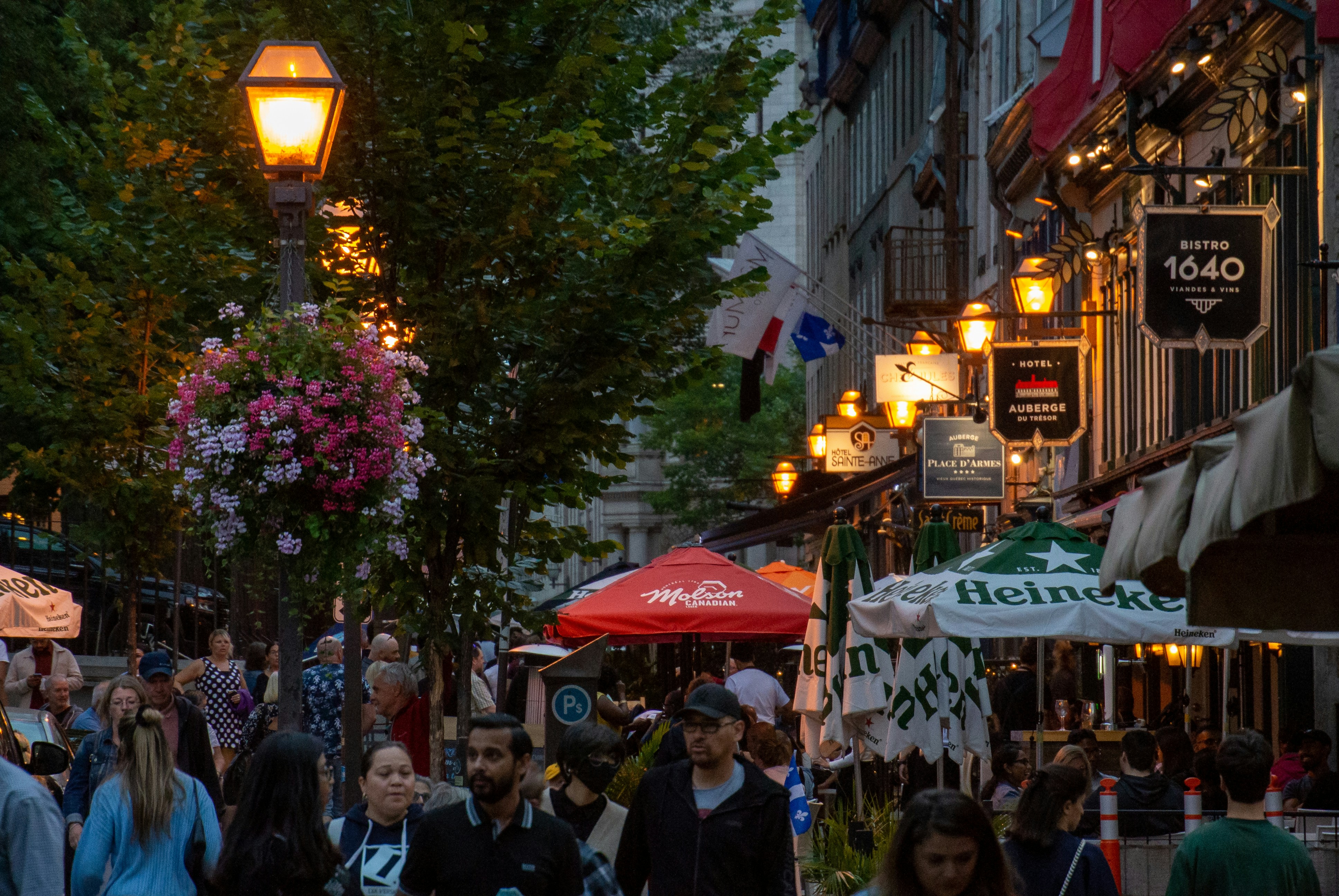 Complying with Quebec’s French language laws - Wilson Lue LLP News ...